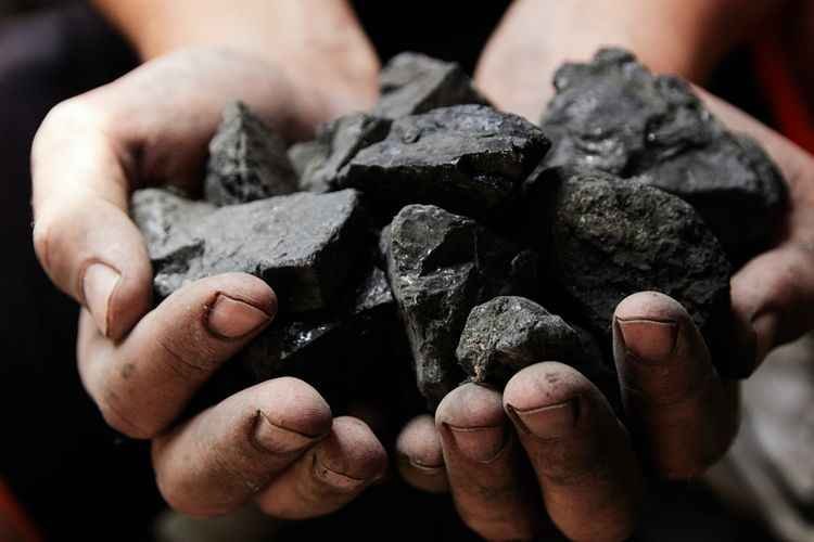 Coal Metal | Coal Industry Challenges in 2025: A Fight for Survival